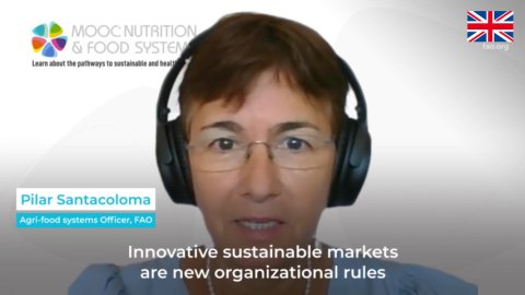 Systems approaches to the food environment - A word from the experts ...