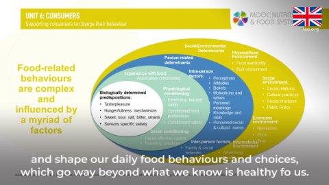 Food systems and nutrition : Influencing consumers´ food behaviours ...