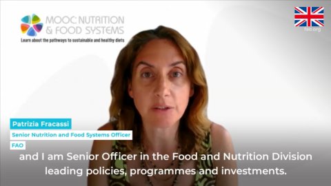 Nutrition-sensitive investment in agriculture and food systems - Budget ...