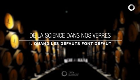 Quand Les Vins Font Défaut - De la Sciences dans nos verres - #1 | Canal U