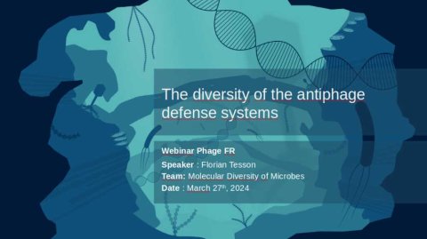 The diversity of antiphage defense systems in prokaryotes | Canal U