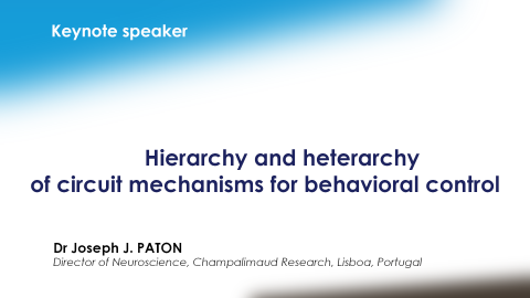 Plenary lecture : Hierarchy and heterarchy of circuit mechanisms for ...