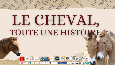 Le cheval, toute une histoire ! | Canal U