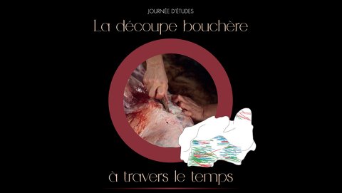 Mes os sans stries… le partage et la découpe au Mésolithique | Canal U